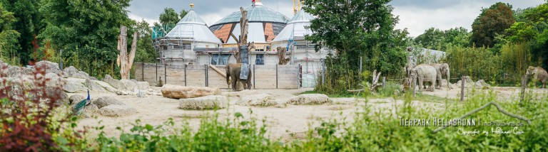 Tierpark Hellabrunn - mcPhotoArts